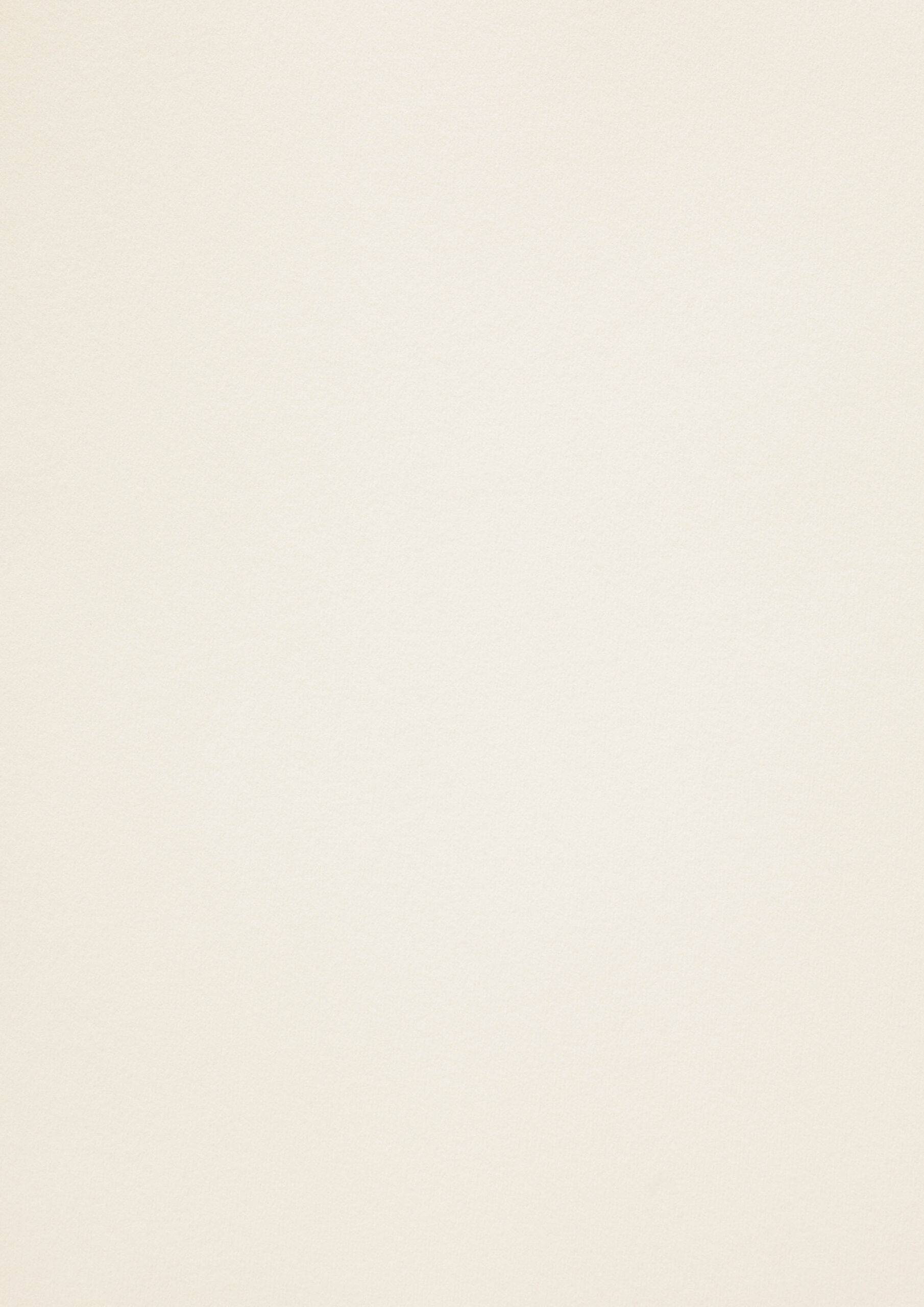 RIVES TRADITION NATURAL WHITE - KGEPEL Papéis