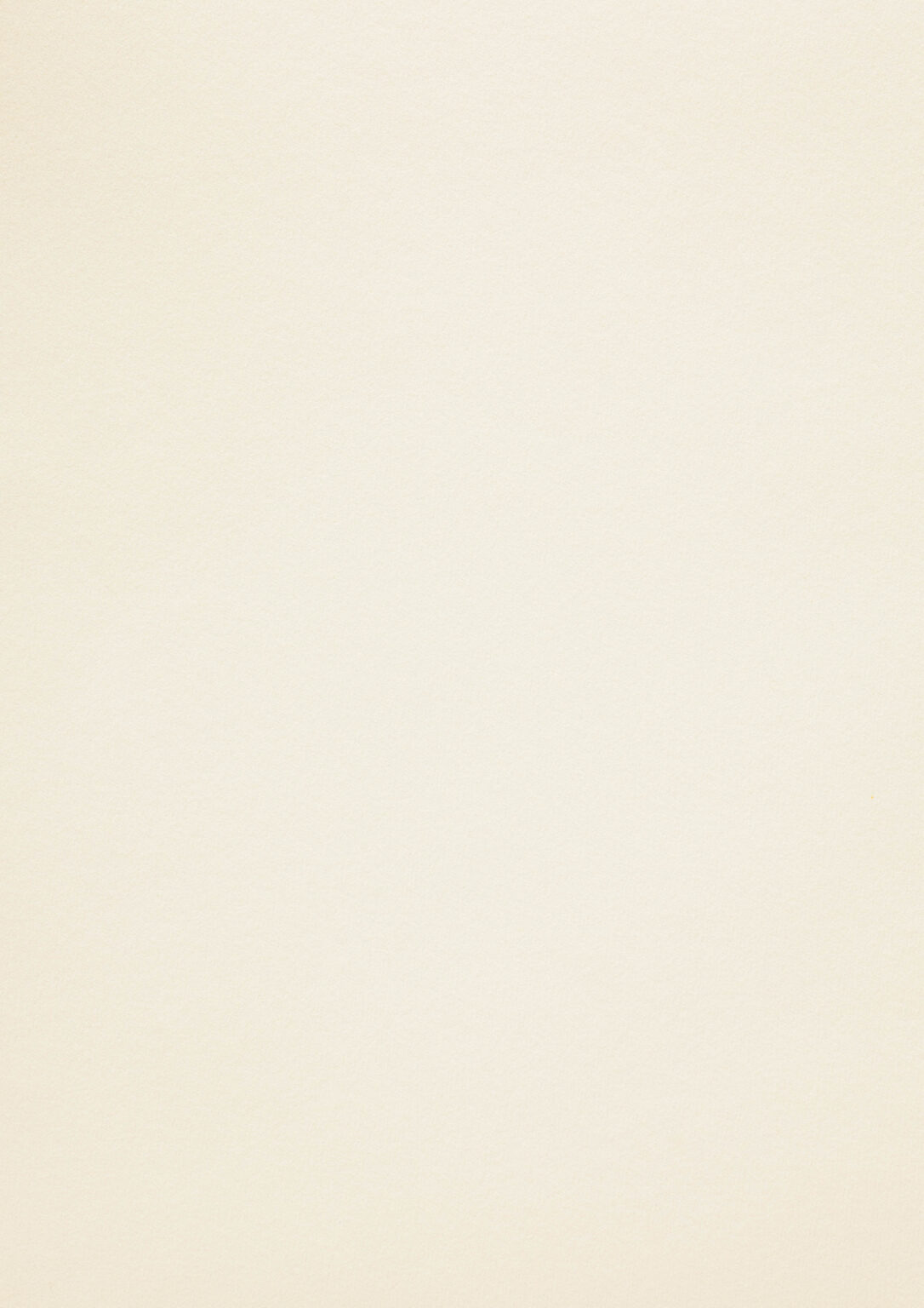 RIVES TRADITION PALE CREAM - KGEPEL Papéis