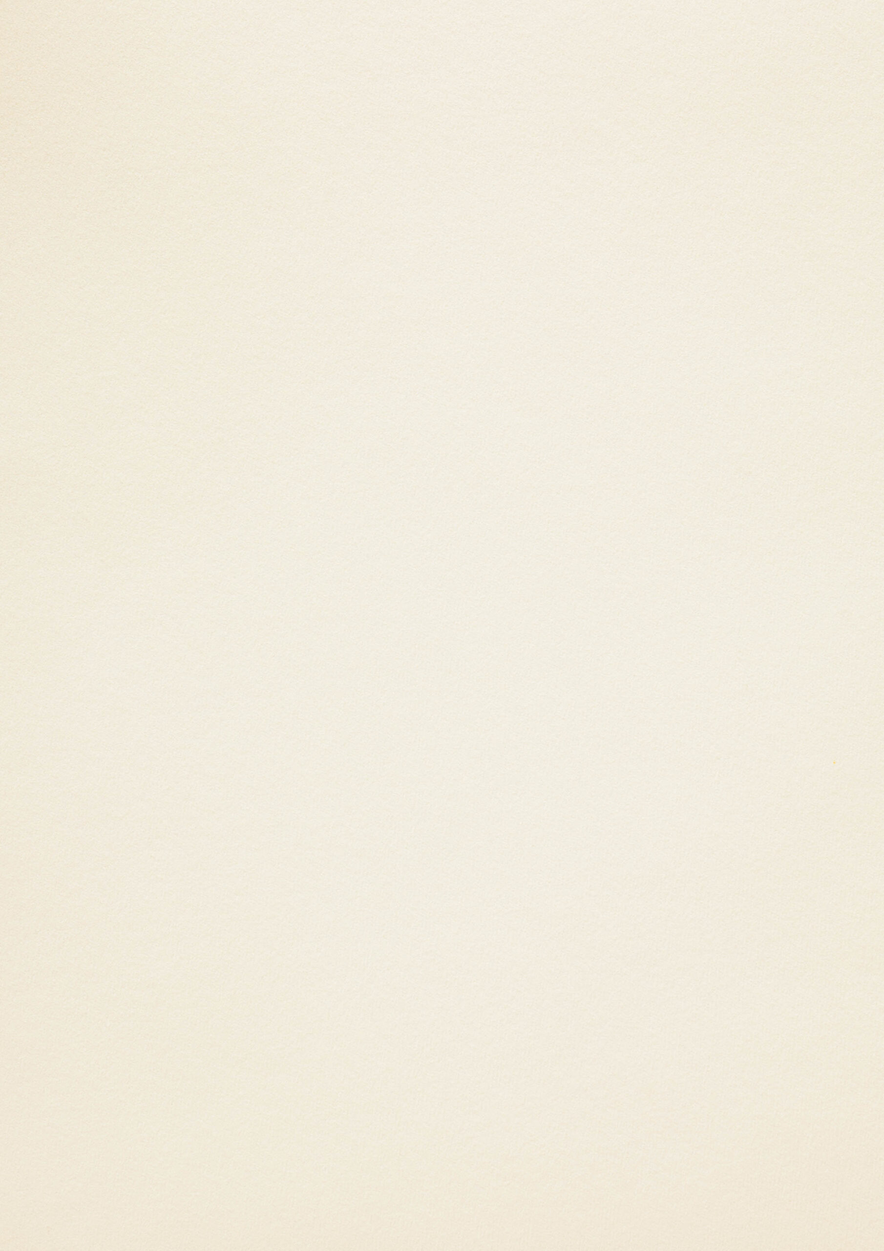 RIVES TRADITION PALE CREAM - KGEPEL Papéis